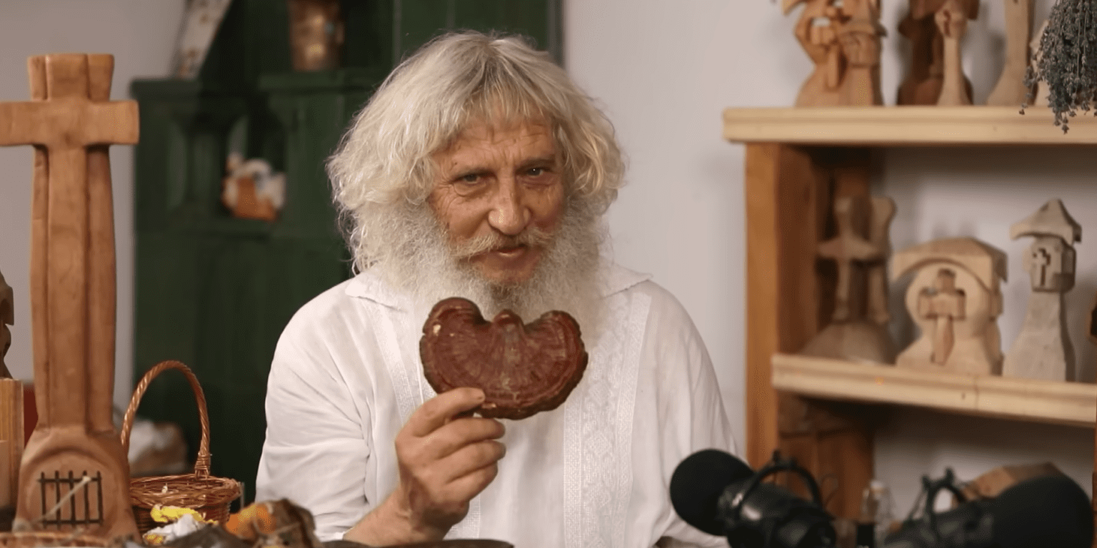 Nicolae Onu a prezentat ciuperca tinereții fără bătrânețe: Ganoderma ...